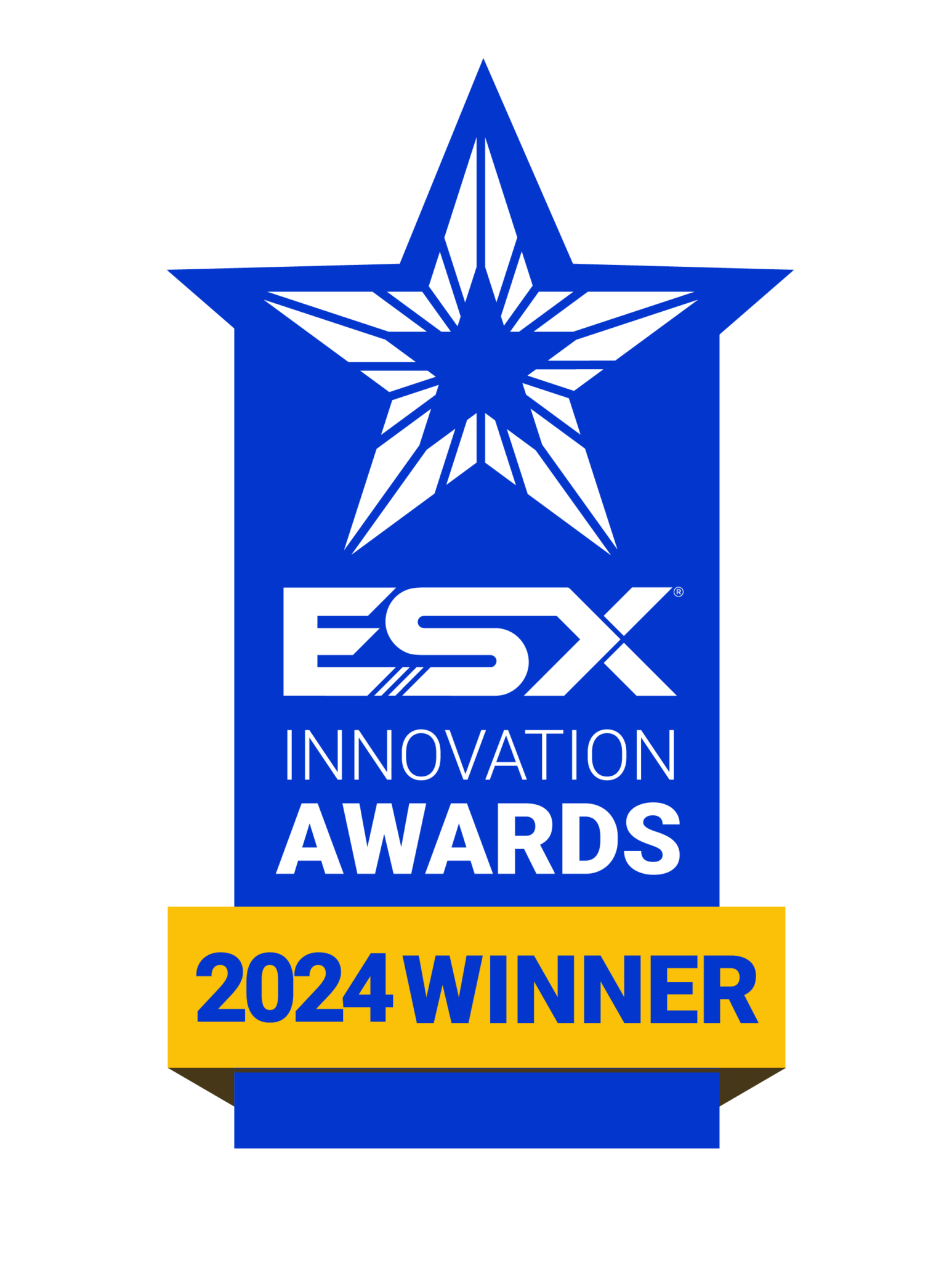 ESX Innovation Award Winner | System Surveyor